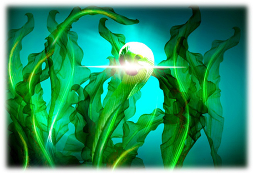 ขาวใสจัดเต็ม ! Citra Light-Touch White ไวท์เทนนิ่งเจลเนื้อบางเบาสบายผิว ...